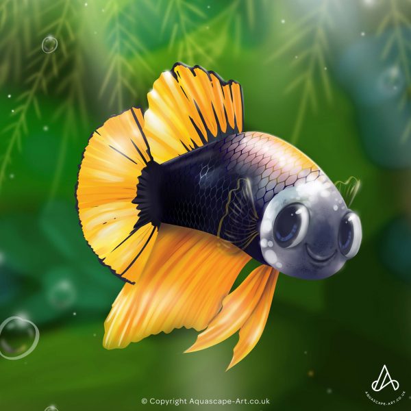 Aquascape.Art | Betta Art